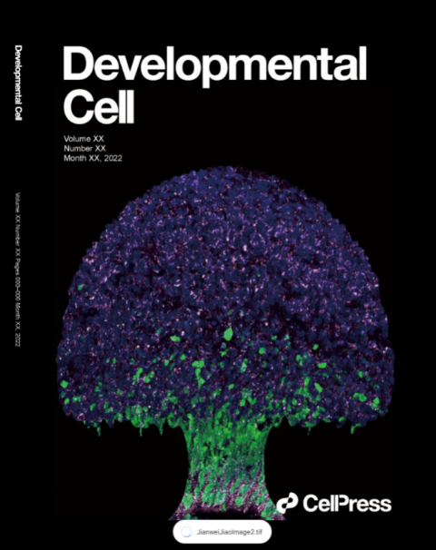 中国疾病预防控制中心科技文献服务系统